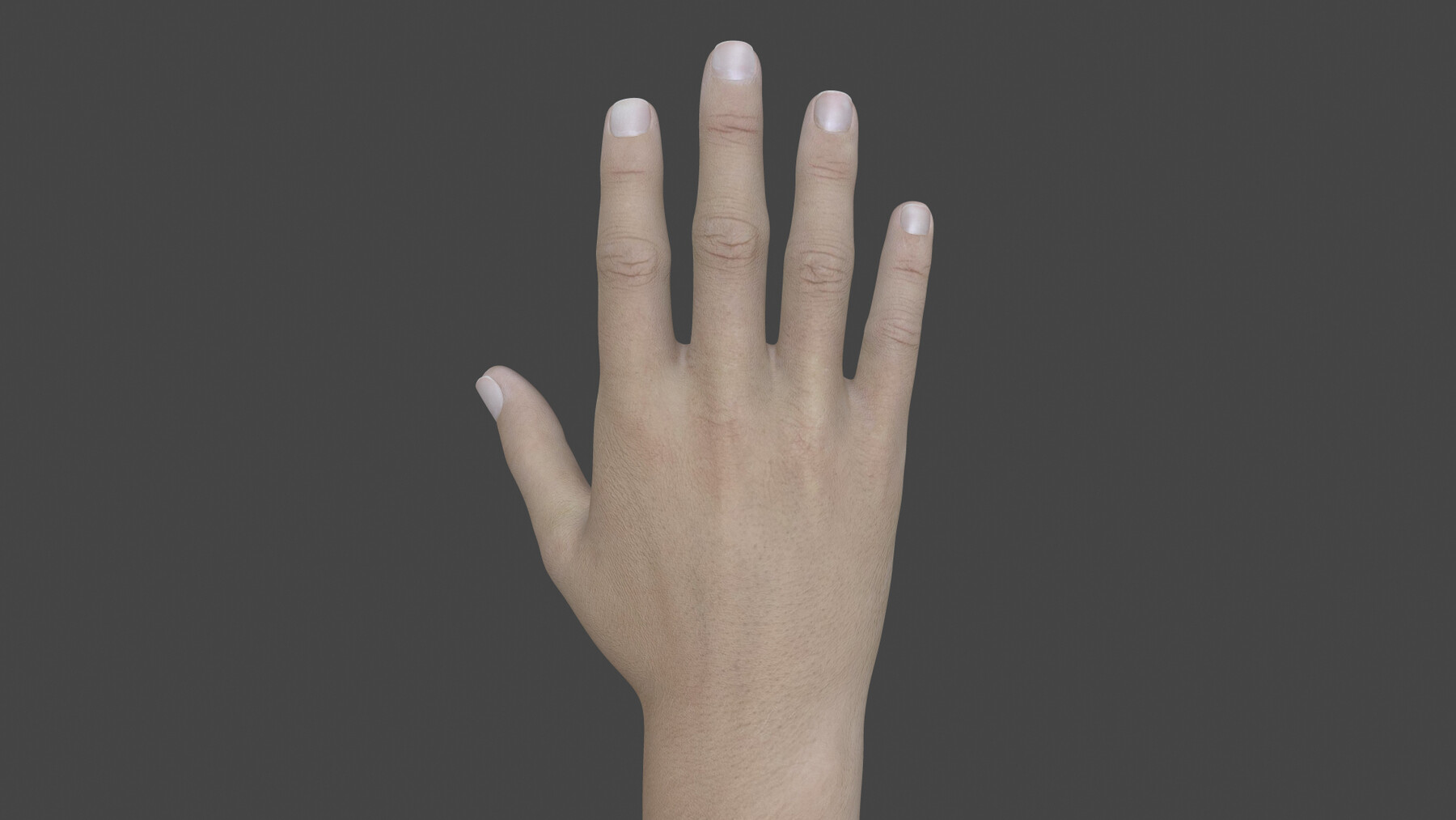 ArtStation - TSHR.001 Rigged right hand | Game Assets