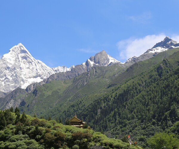 ArtStation - Mountains of western China——Snow mountain、dead tree、meadow ...