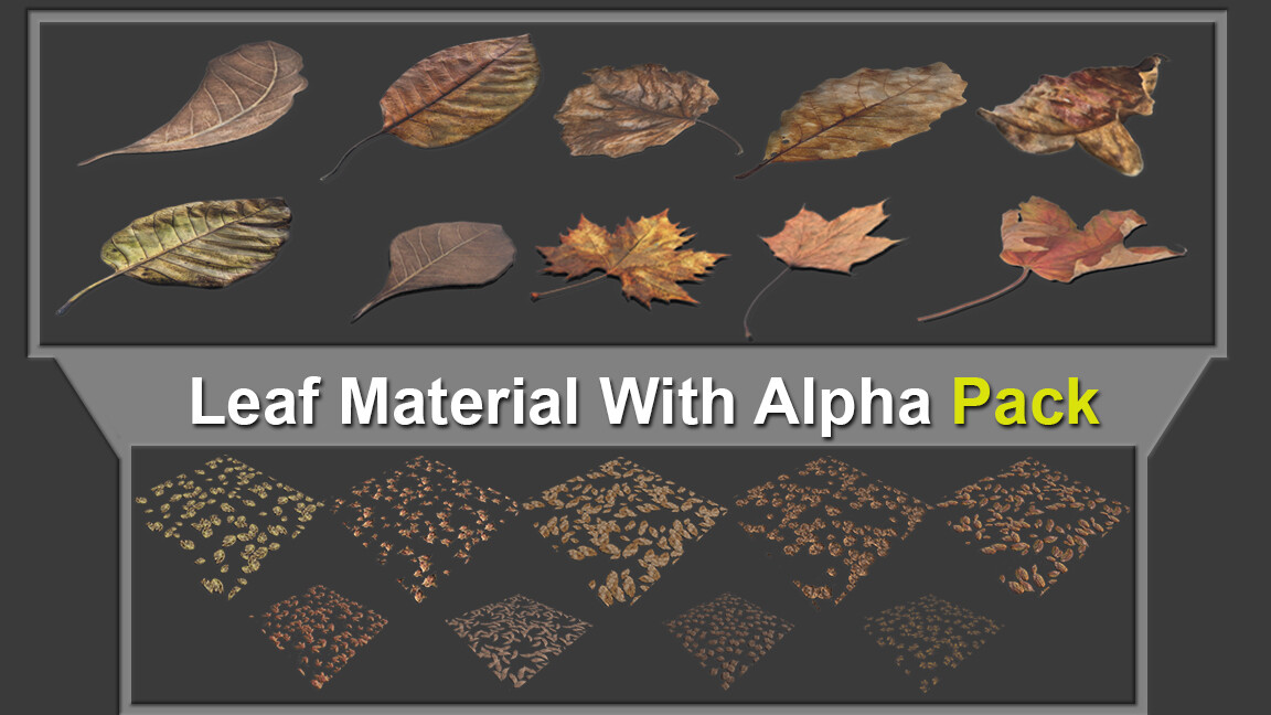 ArtStation - 20 Leaf Material With Alpha Pack | Resources