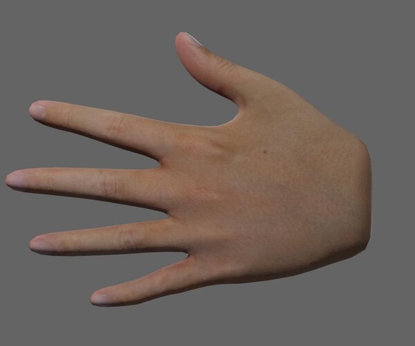 ArtStation - Rigged Hand - With Real texture - Mao Low-poly 3D model ...