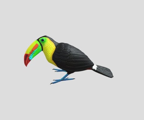 ArtStation - Keel Billed Toucan | Resources