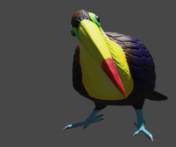ArtStation - Keel Billed Toucan | Resources