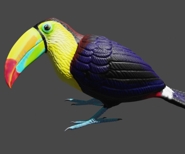 ArtStation - Keel Billed Toucan | Resources