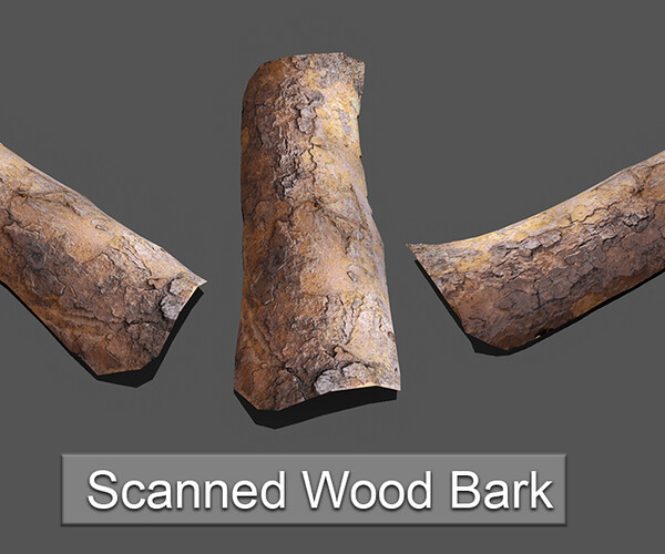 ArtStation - Wood Bark Low Poly | Game Assets