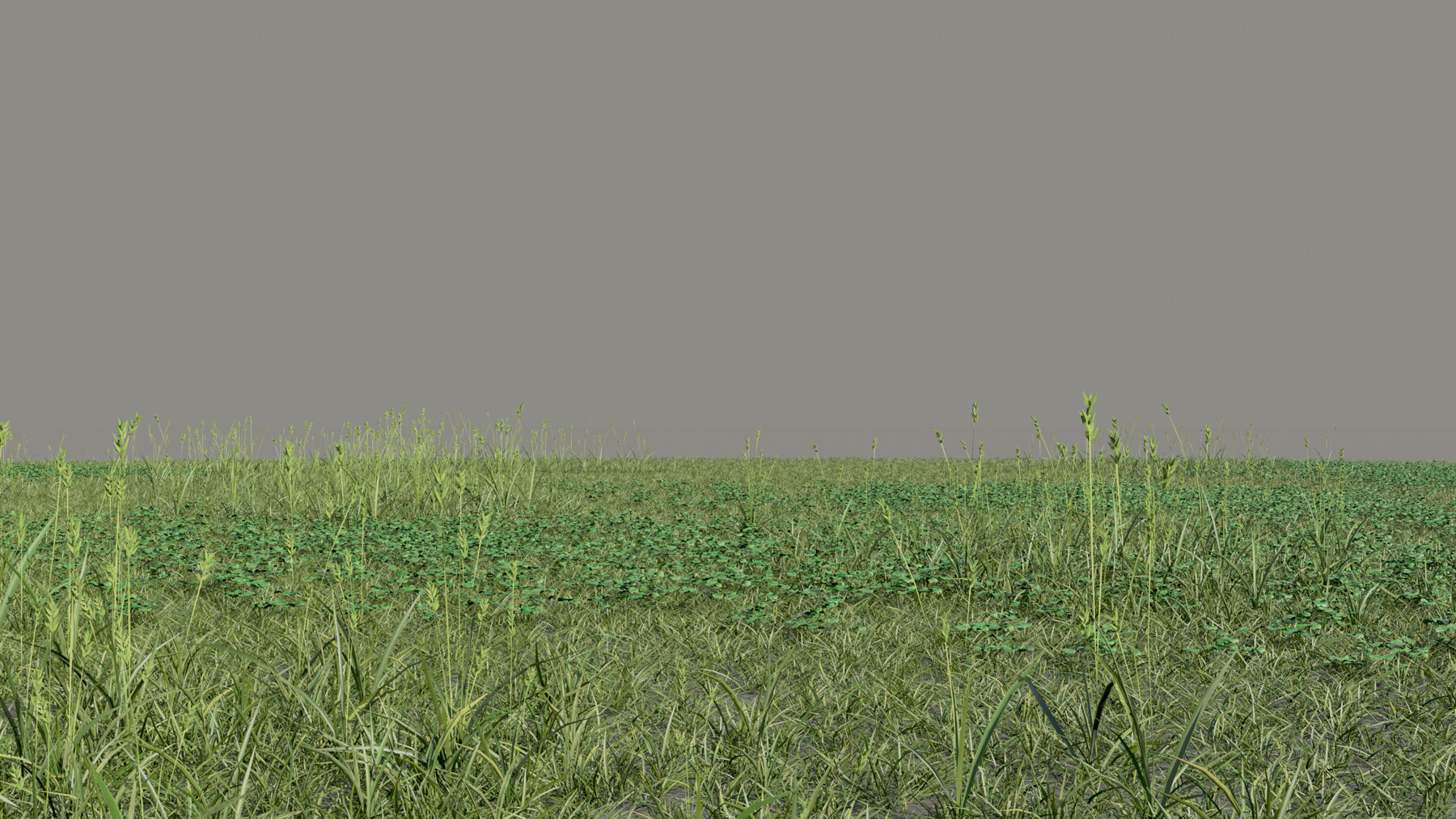ArtStation - vegetation: grass | Resources