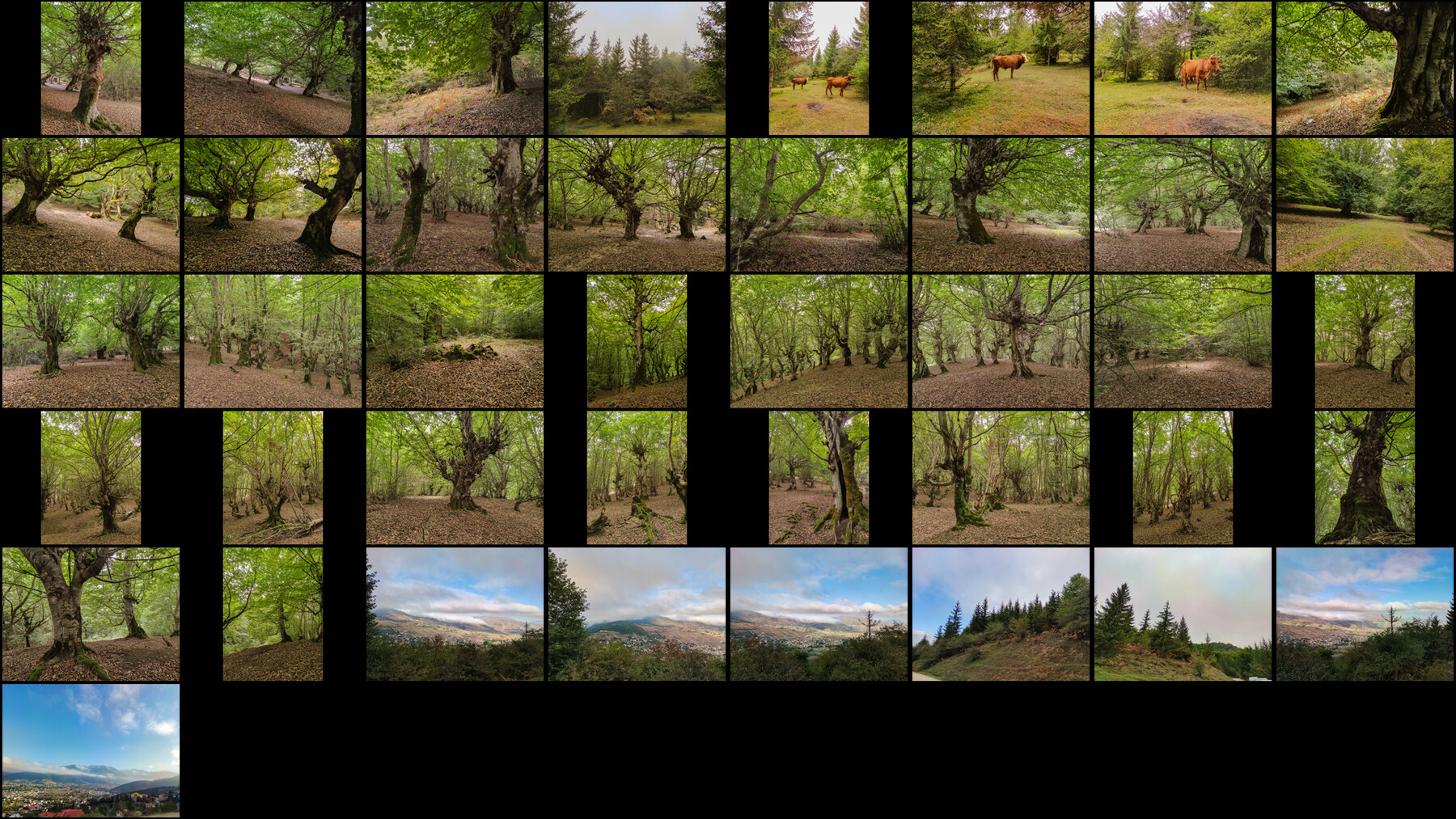 ArtStation - North of Iran ( Nature photo pack ) | Resources