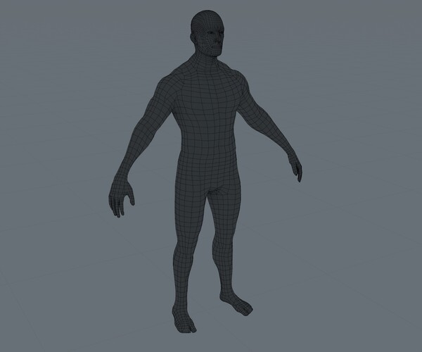 ArtStation - Human Body Base Mesh 28 Animations 10 3D Models Pack ...