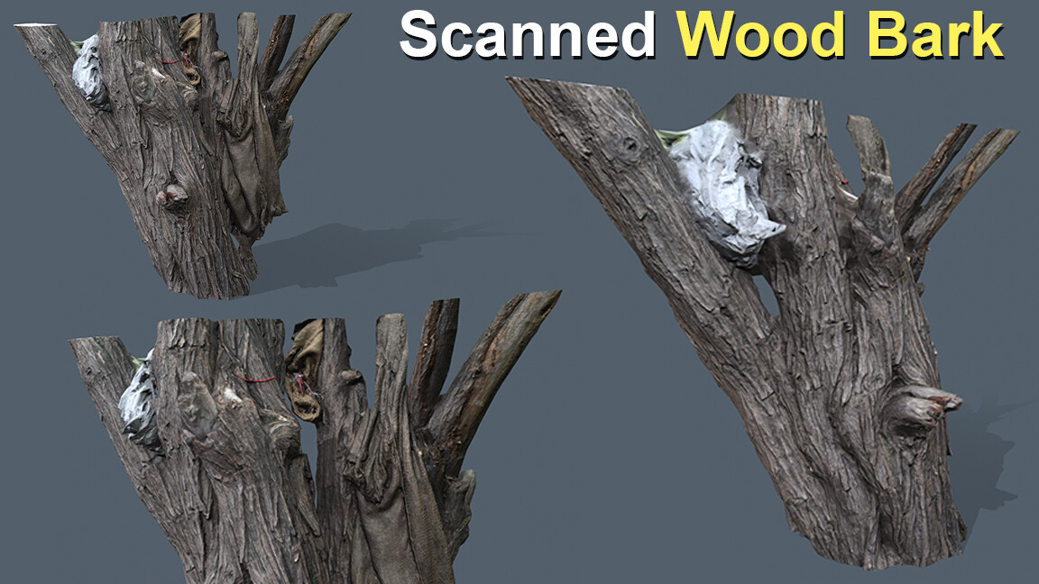 ArtStation - Wood Bark Low Poly | Game Assets