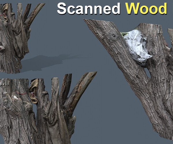 ArtStation - Wood Bark Low Poly | Game Assets