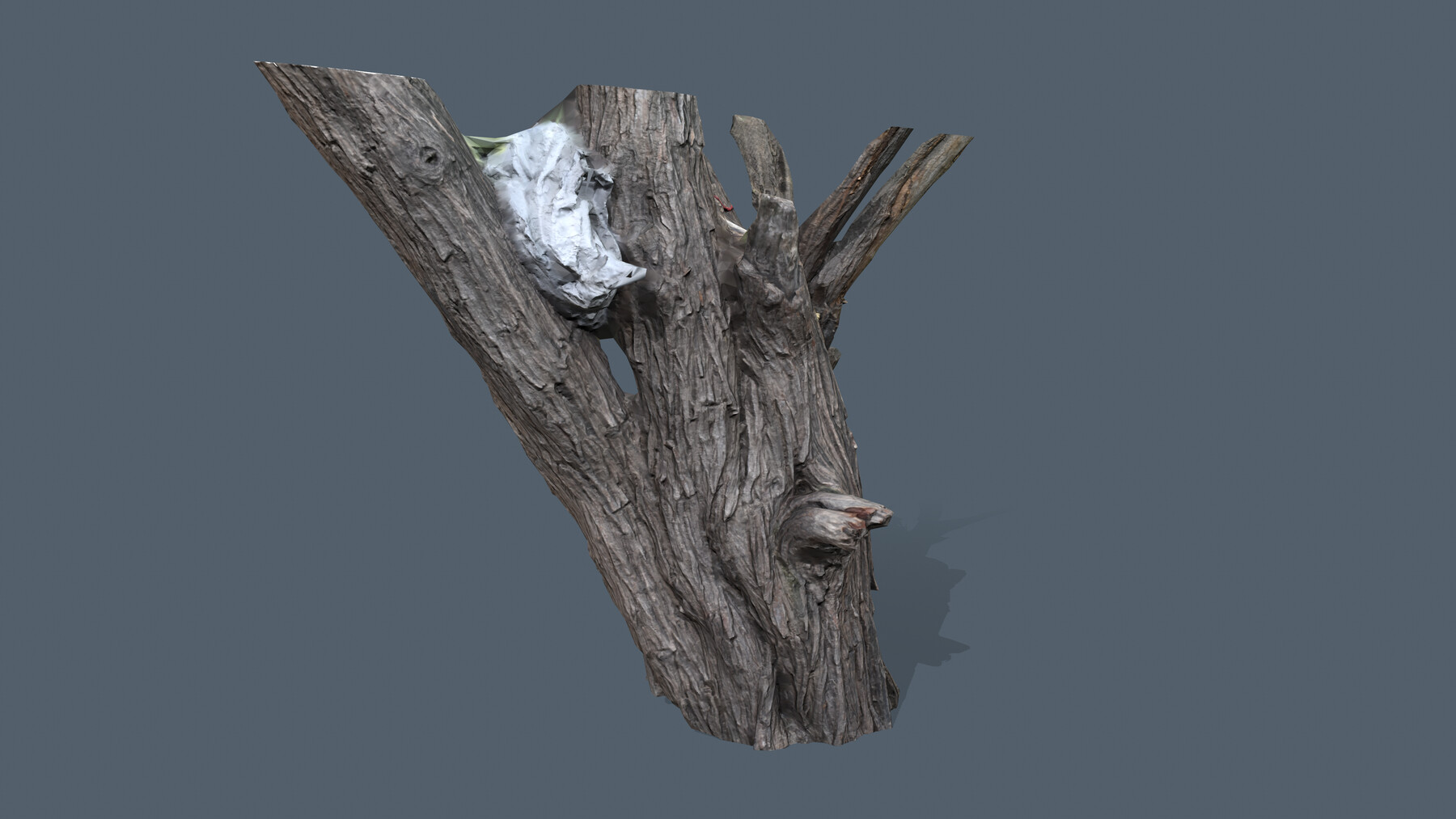 ArtStation - Wood Bark Low Poly | Game Assets