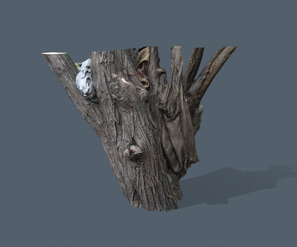 ArtStation - Wood Bark Low Poly | Game Assets