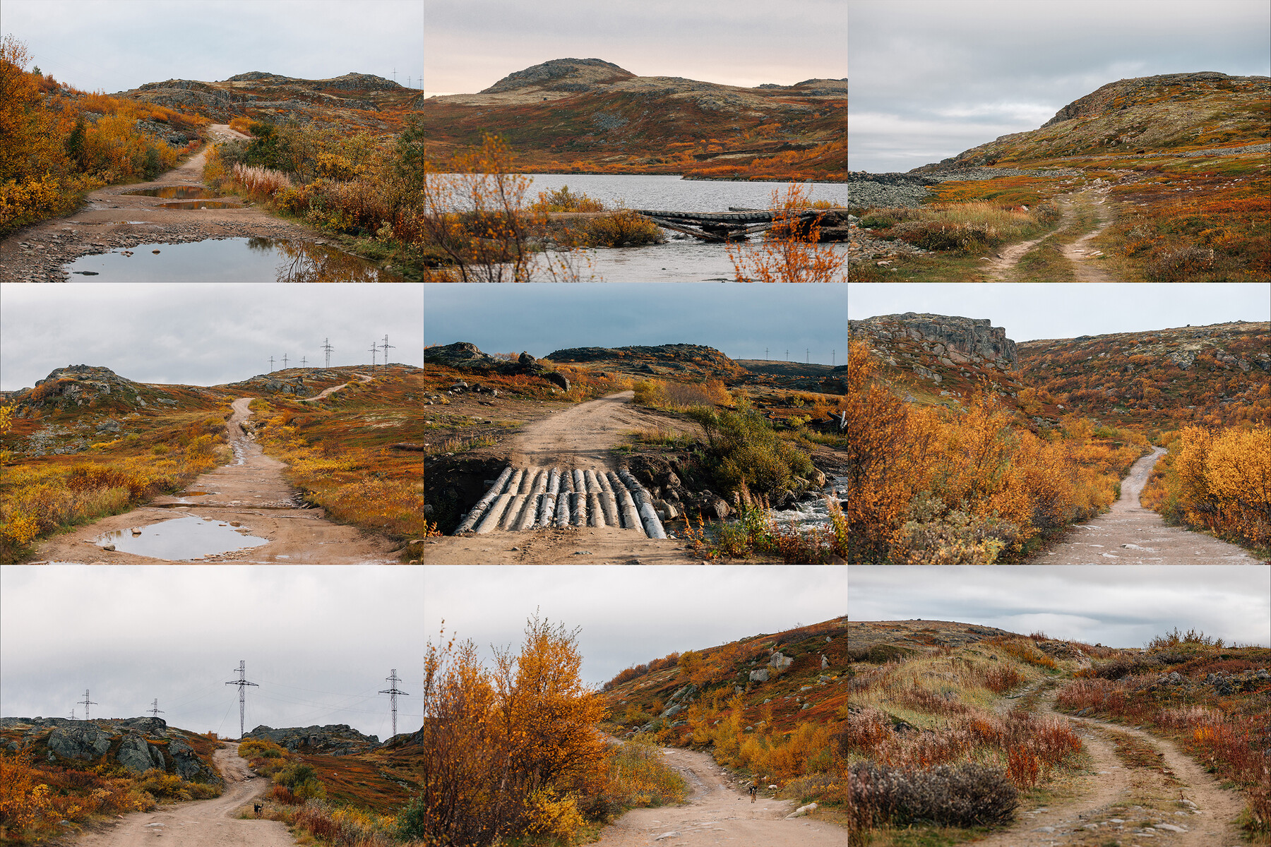 ArtStation - 1300+ Tundra Nature Reference Pictures | Resources