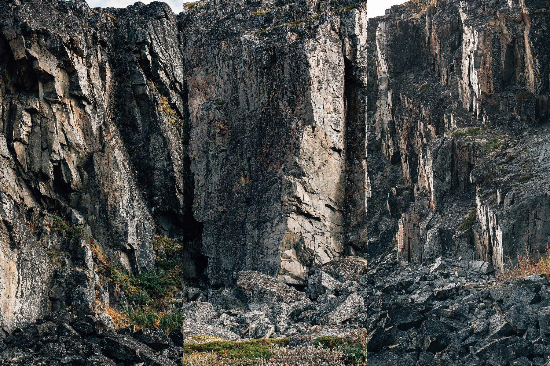 ArtStation - 1300+ Tundra Nature Reference Pictures | Resources