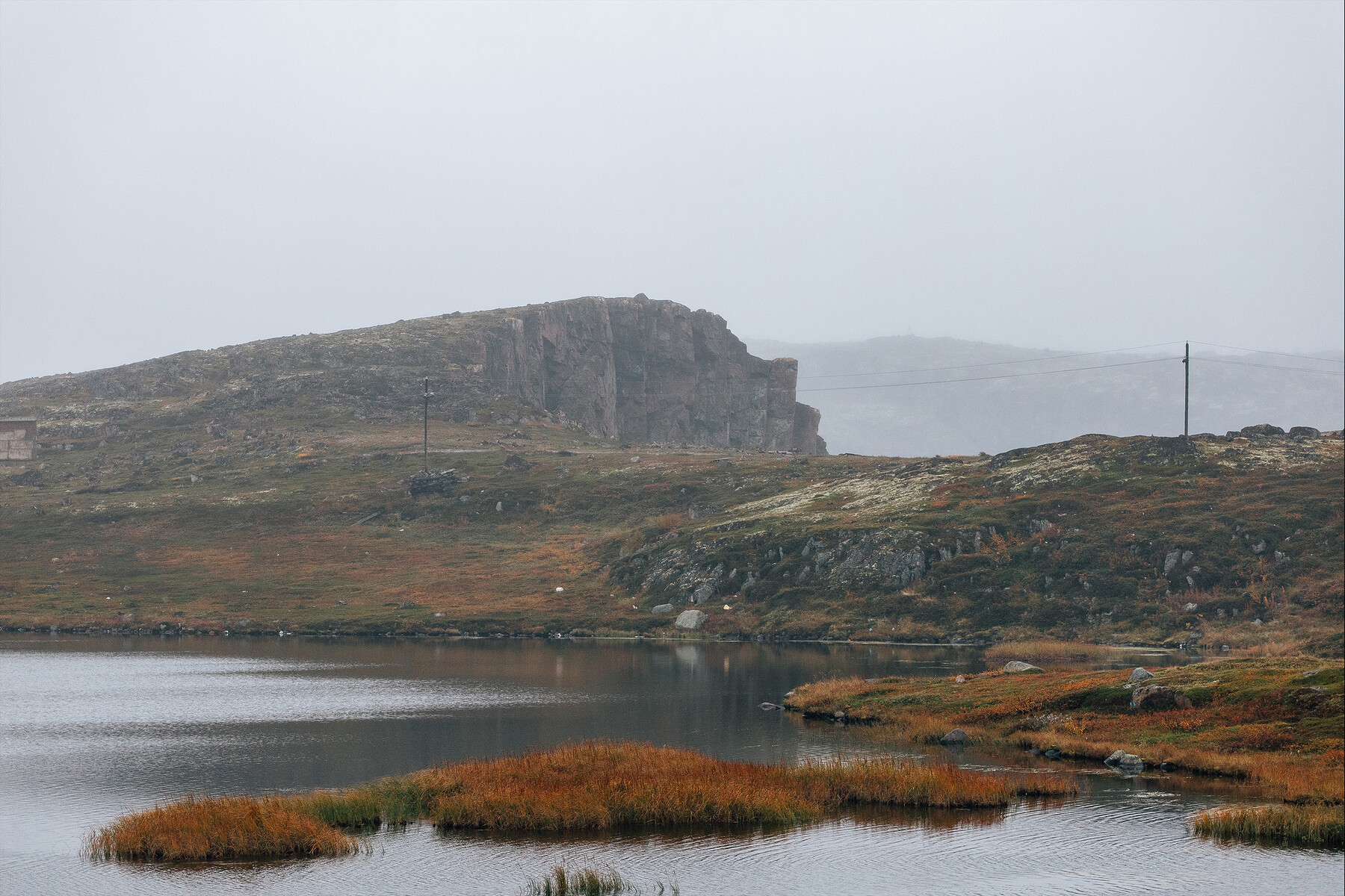 ArtStation - 1300+ Tundra Nature Reference Pictures | Resources