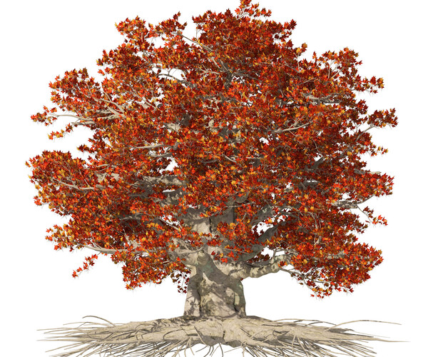 ArtStation - House of Dragons Winterfell Tree | Resources