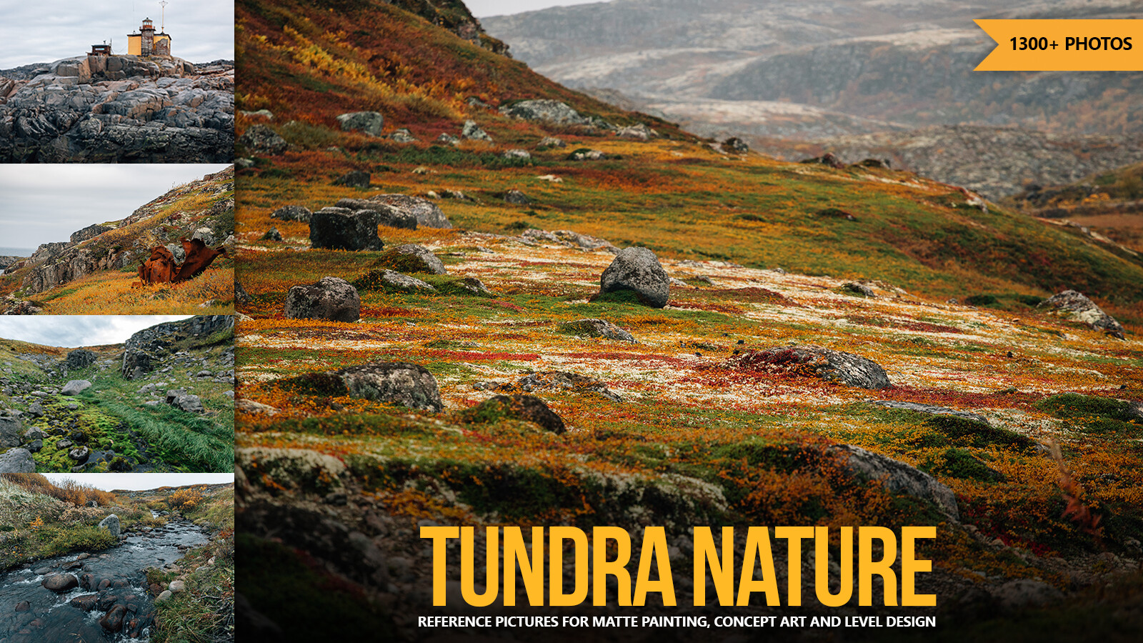 ArtStation - 1300+ Tundra Nature Reference Pictures | Resources