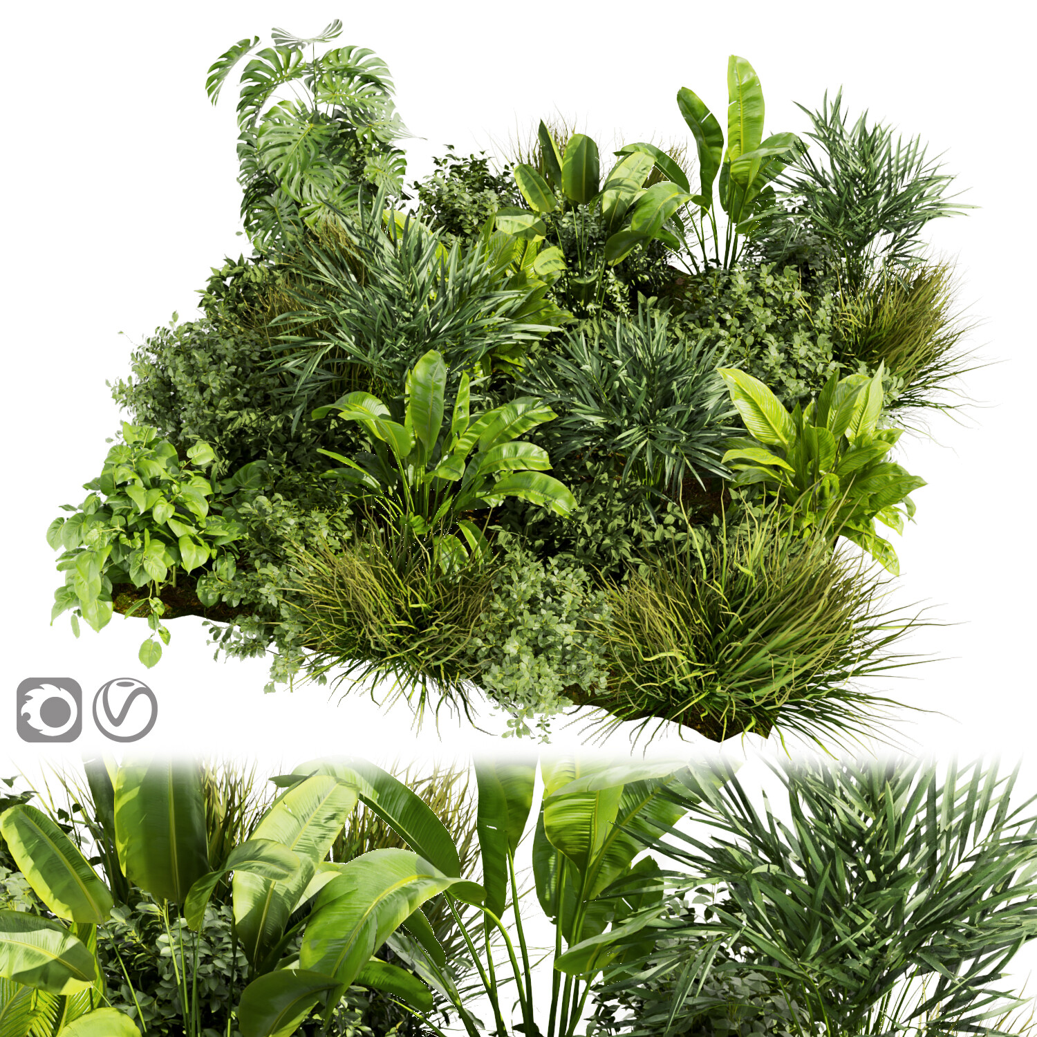 ArtStation - Collection plant vol 394 - outdoor - garden - leaf ...