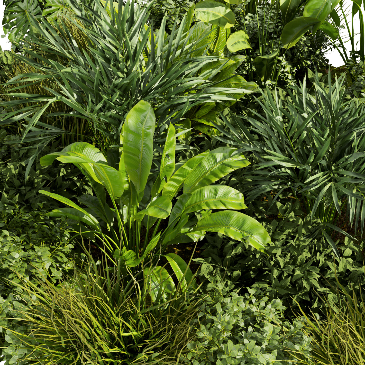 ArtStation - Collection plant vol 394 - outdoor - garden - leaf ...
