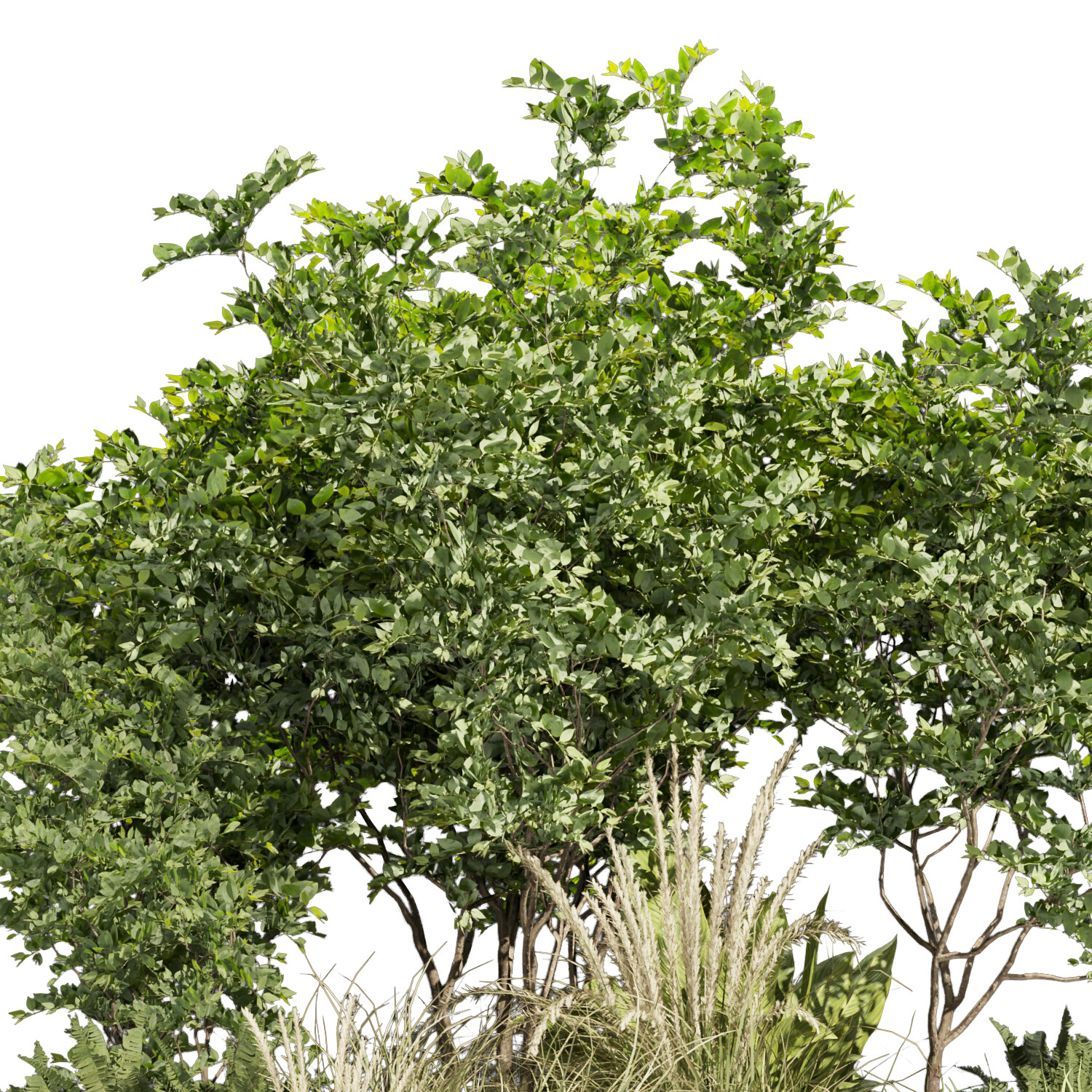 ArtStation - Collection plant vol 395 - outdoor - garden - leaf ...