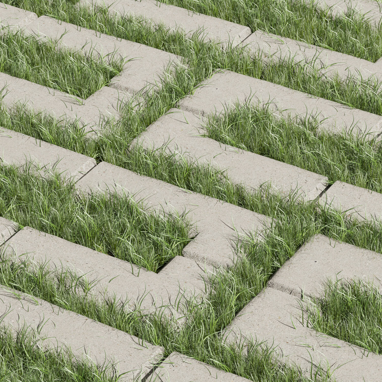 ArtStation - Collection plant vol 397 - grass - concrete - tileable | Resources