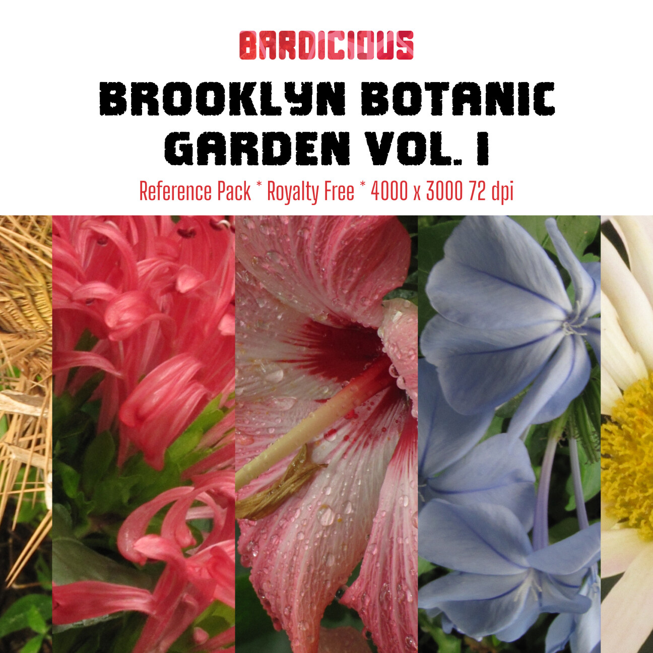 ArtStation - Brooklyn Botanic Garden Vol. 1 (Reference Photos) | Resources