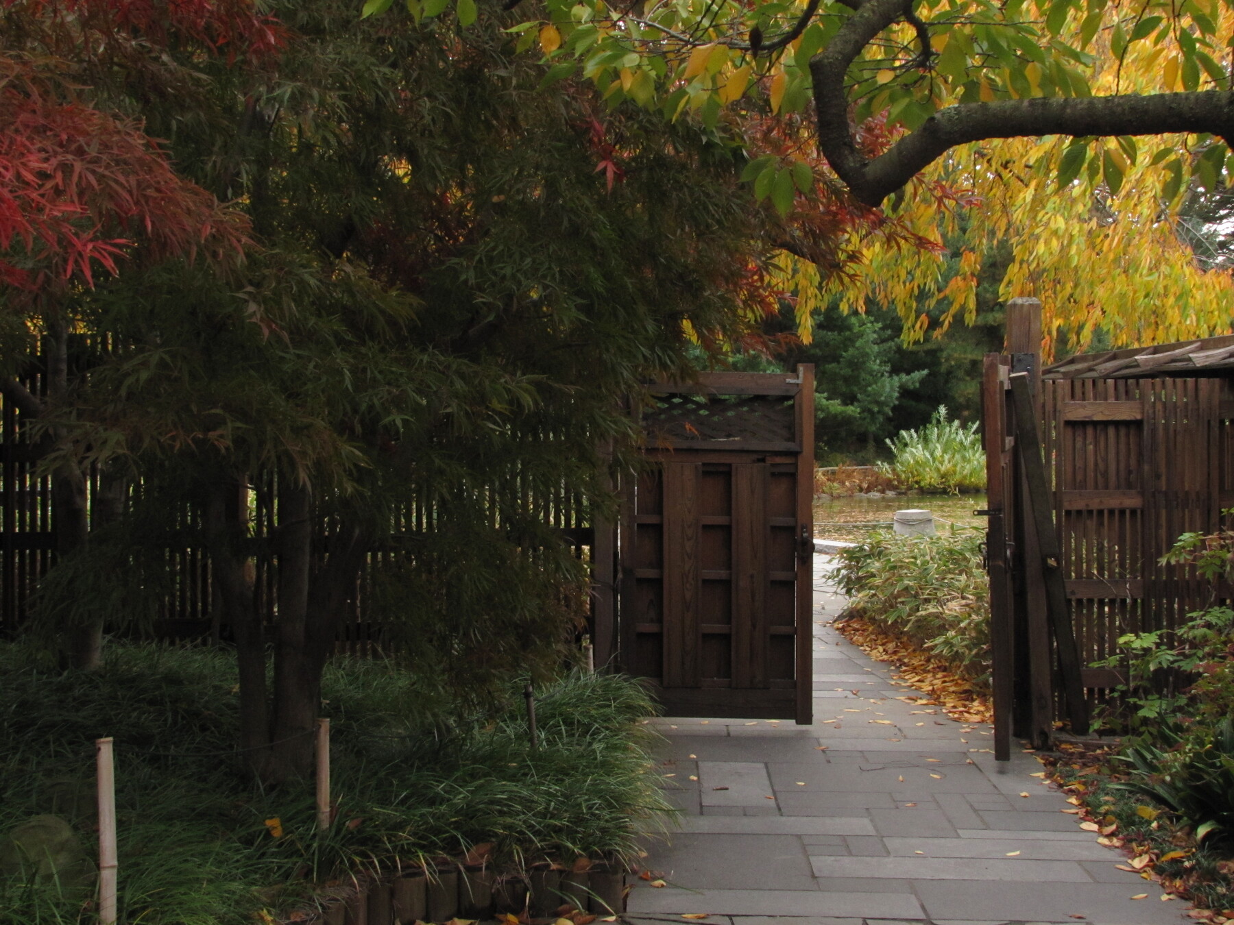 ArtStation - Brooklyn Botanic Garden Vol. 1 (Reference Photos) | Resources