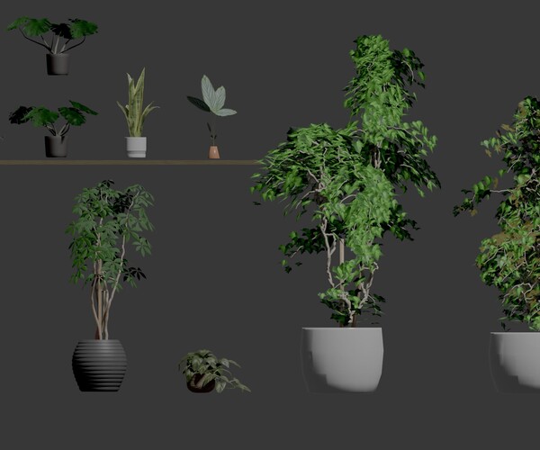 ArtStation - Indoor Plants Asset Pack | Game Assets