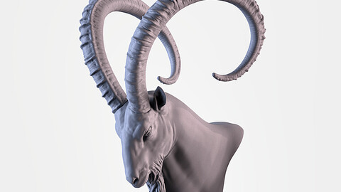 ArtStation - Ibex Head | Resources