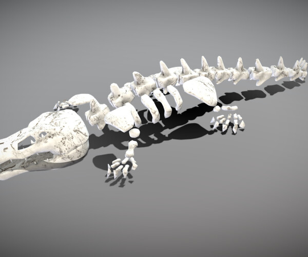 ArtStation - Crocodile Skeleton | Game Assets