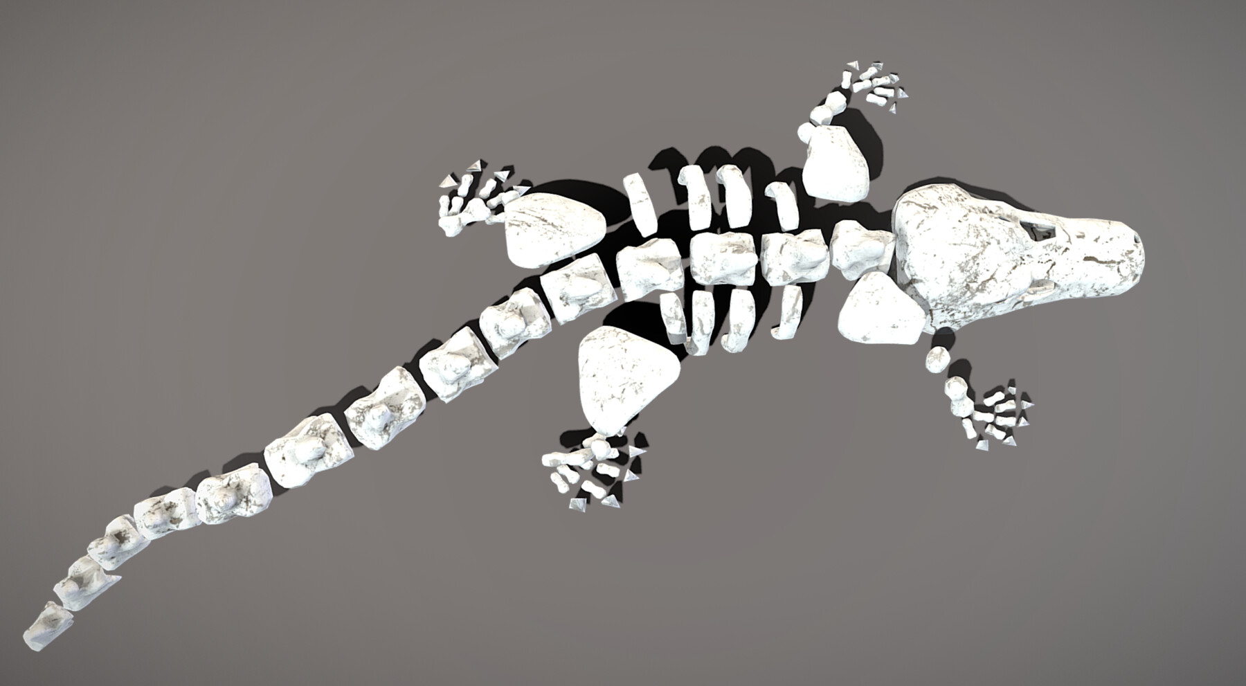 ArtStation - Crocodile Skeleton | Game Assets