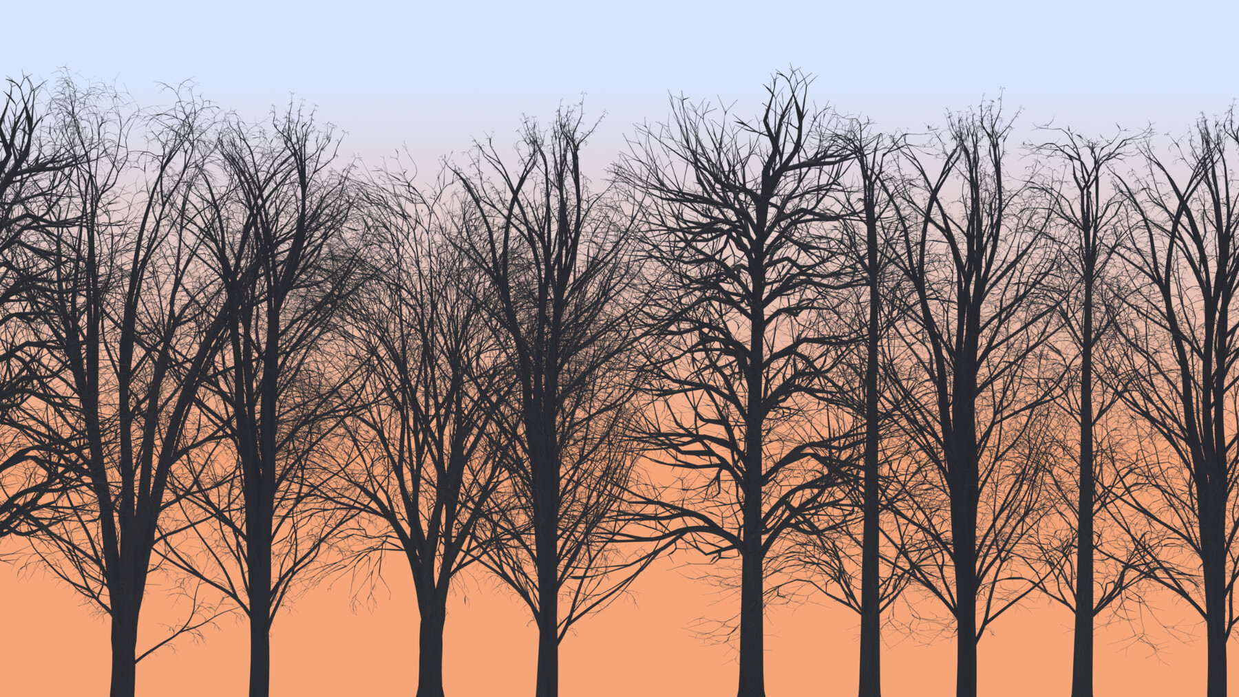 ArtStation - 19 Winter Trees Line Horizon Cutout Trees Pack 01 | Resources