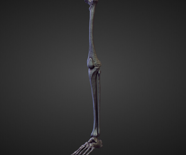 ArtStation - LEG22 high poly sculpt | Resources