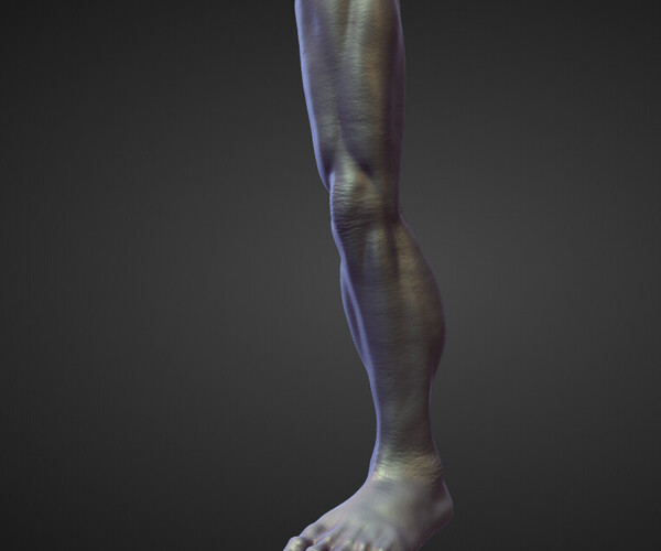 ArtStation - LEG44 high poly sculpt | Resources
