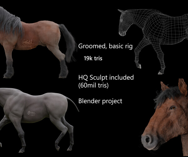 ArtStation - Draft horse, groomed + HQ Sculpt, Blender-only file | Game ...