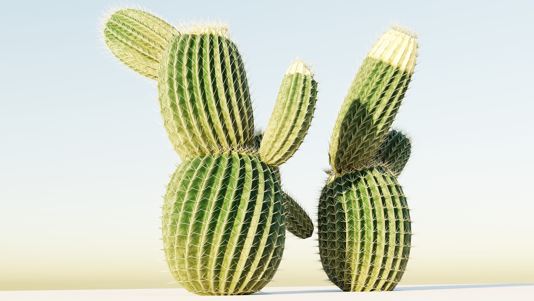 ArtStation - Procedural Cactus Generator Photo Realistic | Resources