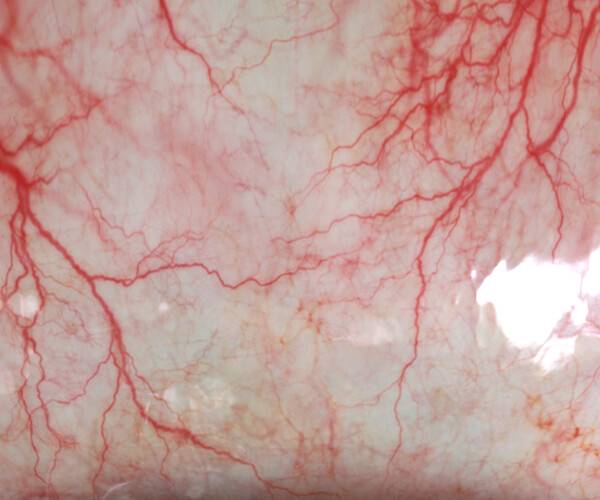 ArtStation - Real-time 3D models Eyes for Video-Games 4k textures ...