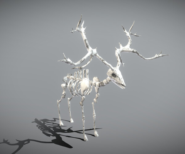 ArtStation - Elk Skeleton | Game Assets