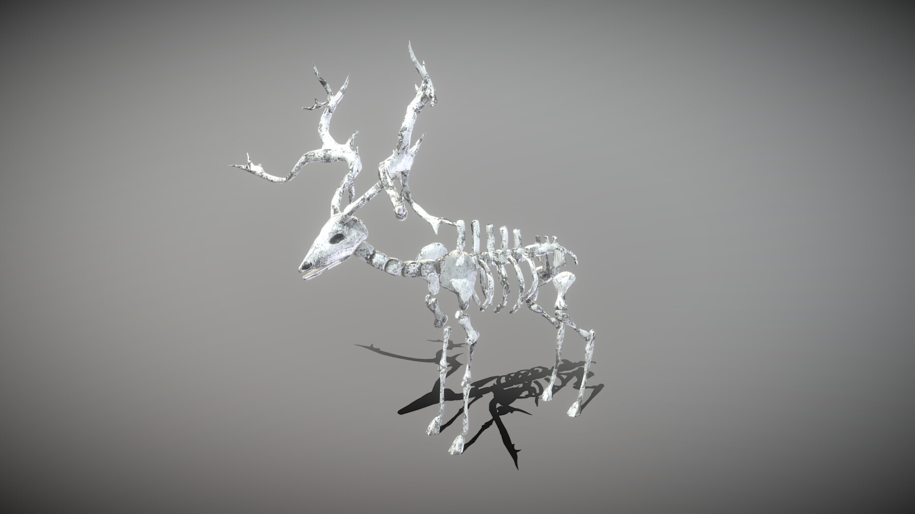 ArtStation - Elk Skeleton | Game Assets