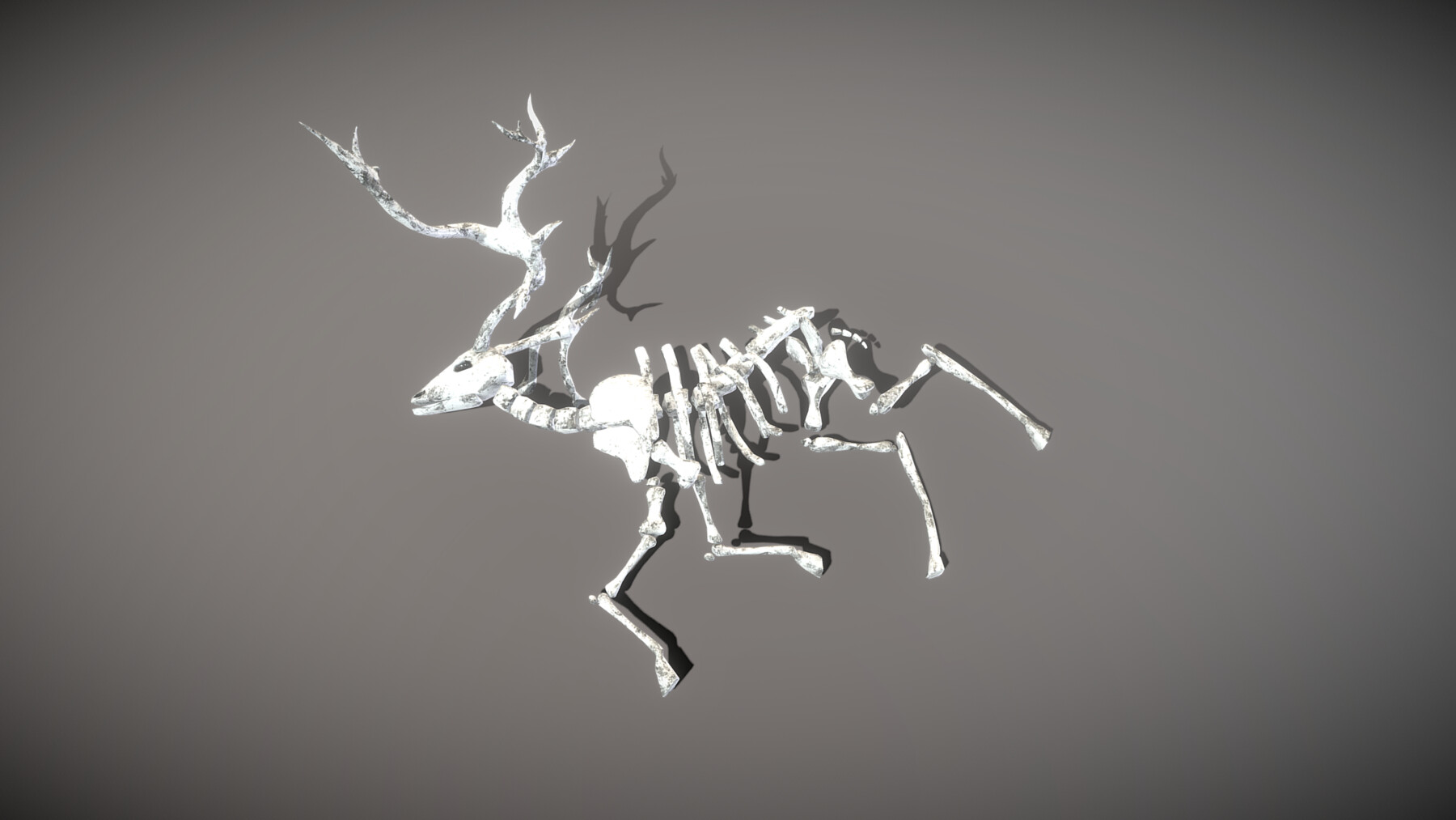 ArtStation - Elk Skeleton | Game Assets