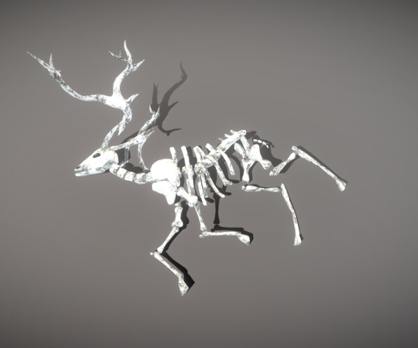 ArtStation - Elk Skeleton | Game Assets