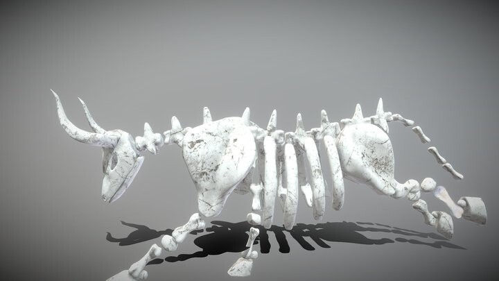 ArtStation - Bull Skeleton | Game Assets