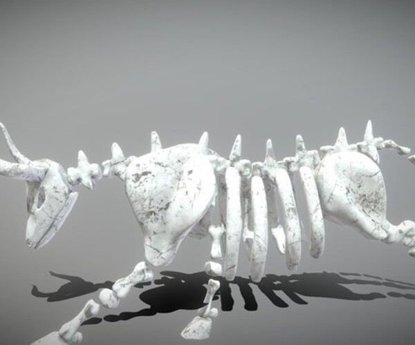 ArtStation - Bull Skeleton | Game Assets