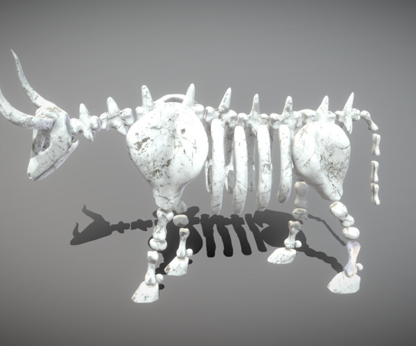 ArtStation - Bull Skeleton | Game Assets