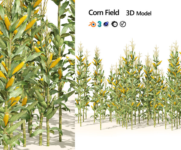 ArtStation - Corn cluster | Resources