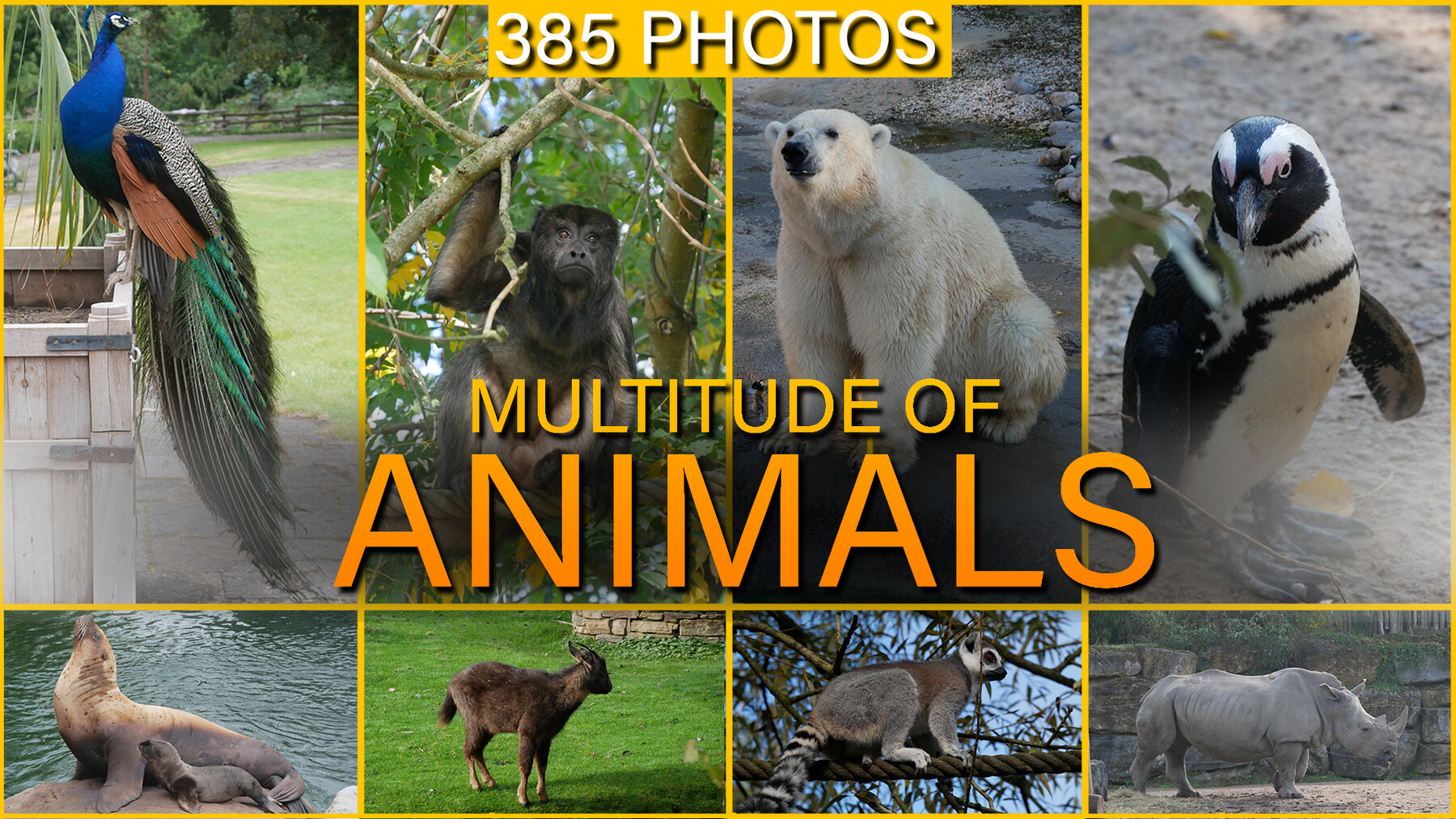 ArtStation - Multitude of animals : 385 photos | Resources