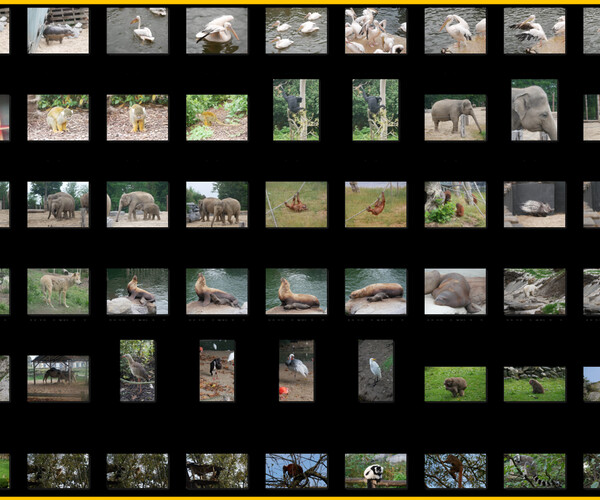 ArtStation - Multitude of animals : 385 photos | Resources