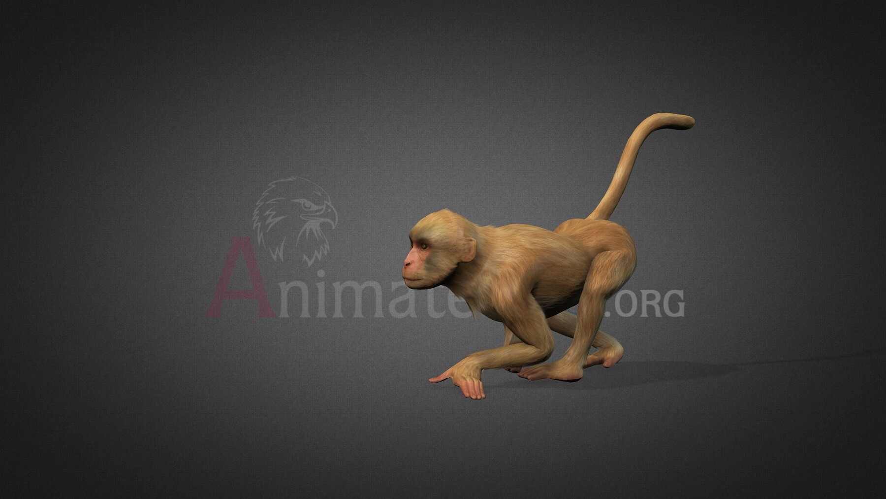 ArtStation - Monkey-1-Attack | Game Assets