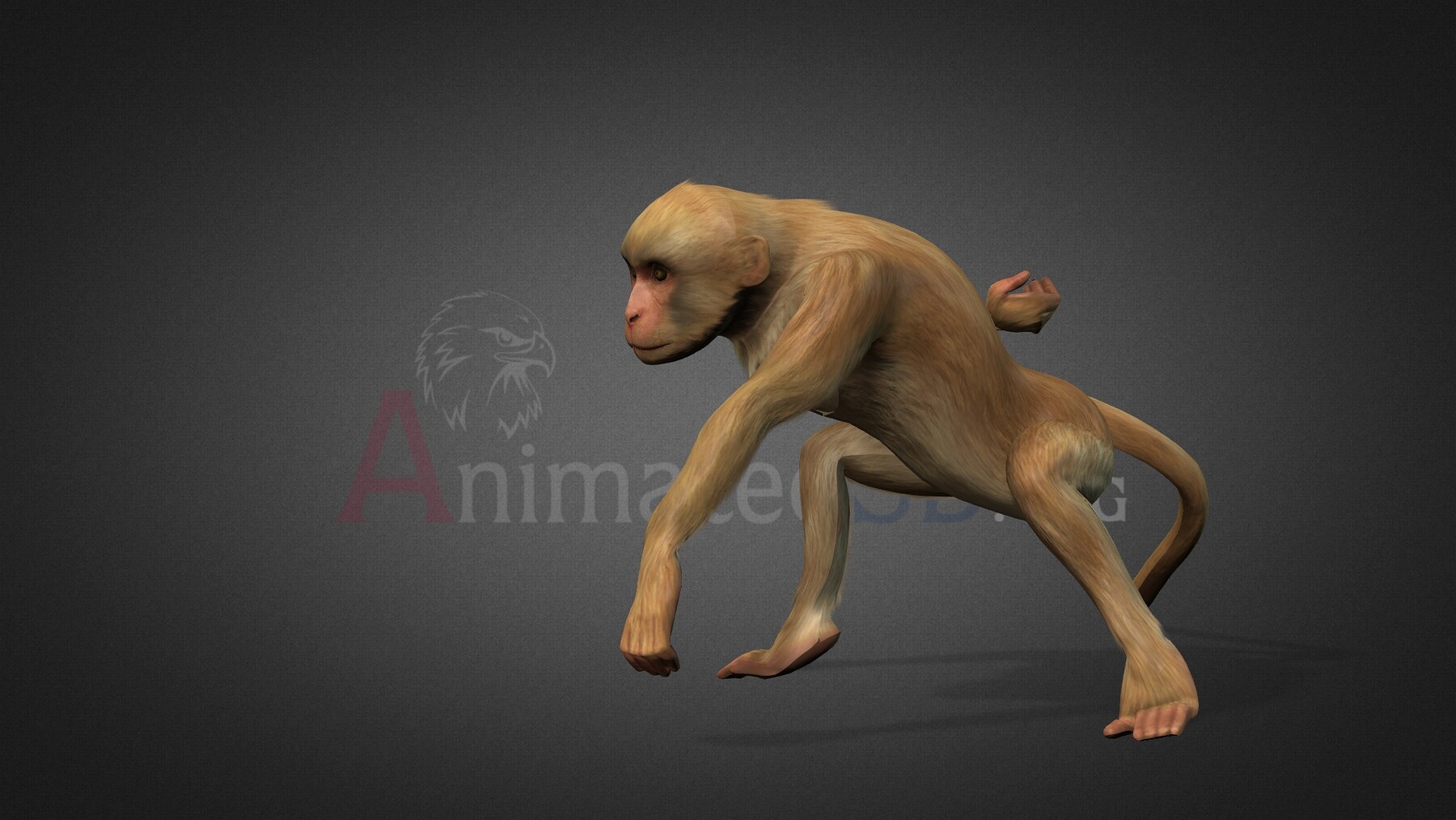 ArtStation - Monkey-1-Attack2 | Game Assets