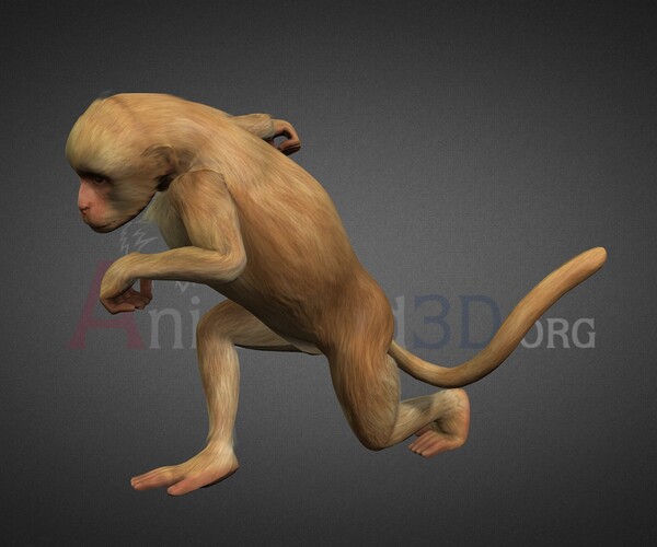 ArtStation - Monkey-1-Attack3 | Game Assets