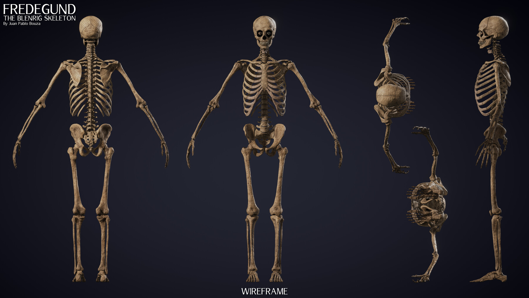 ArtStation - Fredegund - The BlenRig Skeleton | Resources
